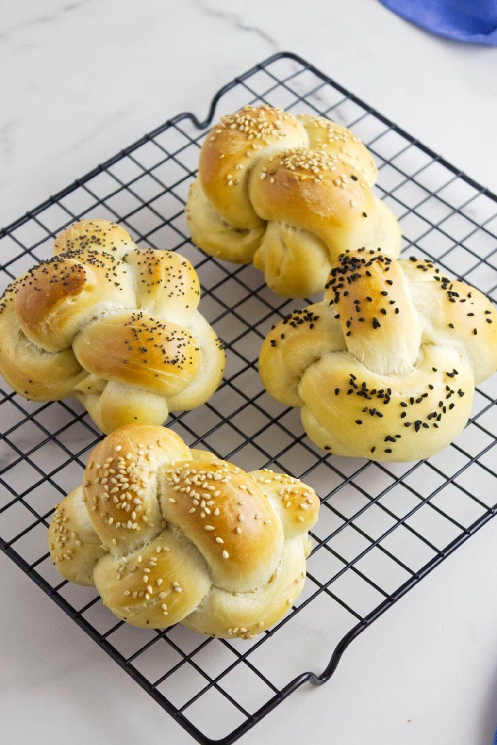 Everyday Challah Rolls I Knead Bread