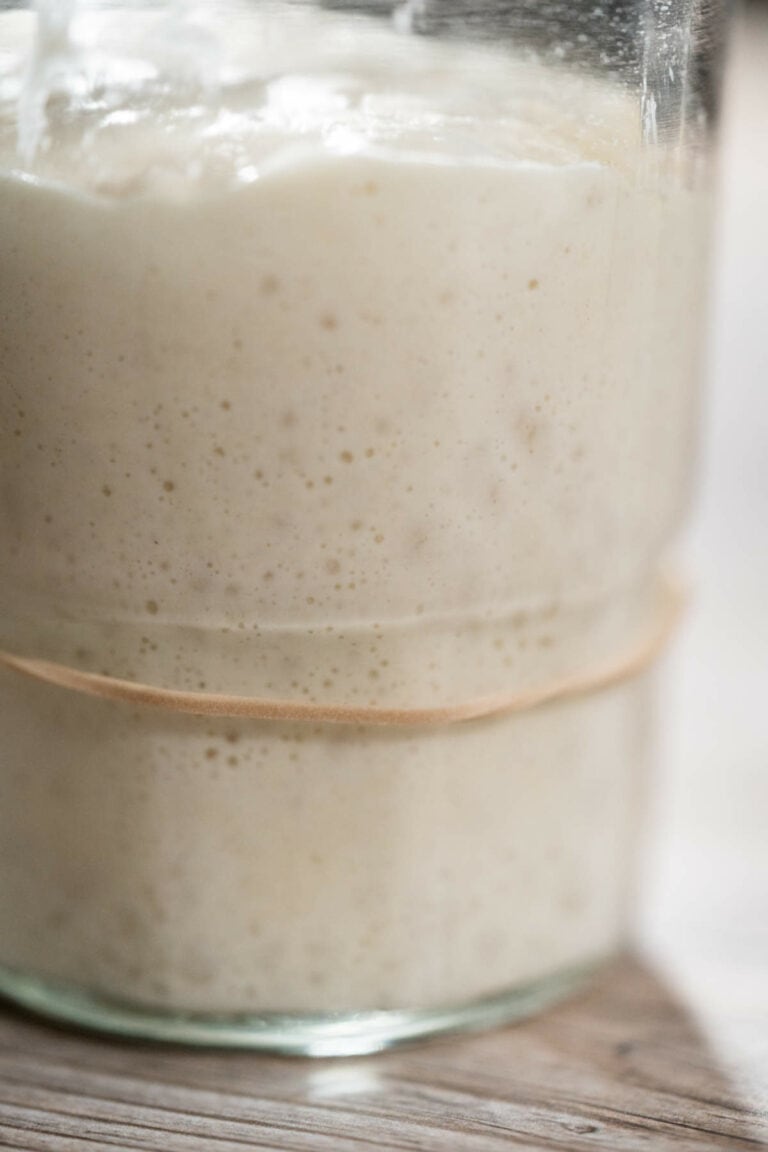 What Is A Biga? – I Knead Bread