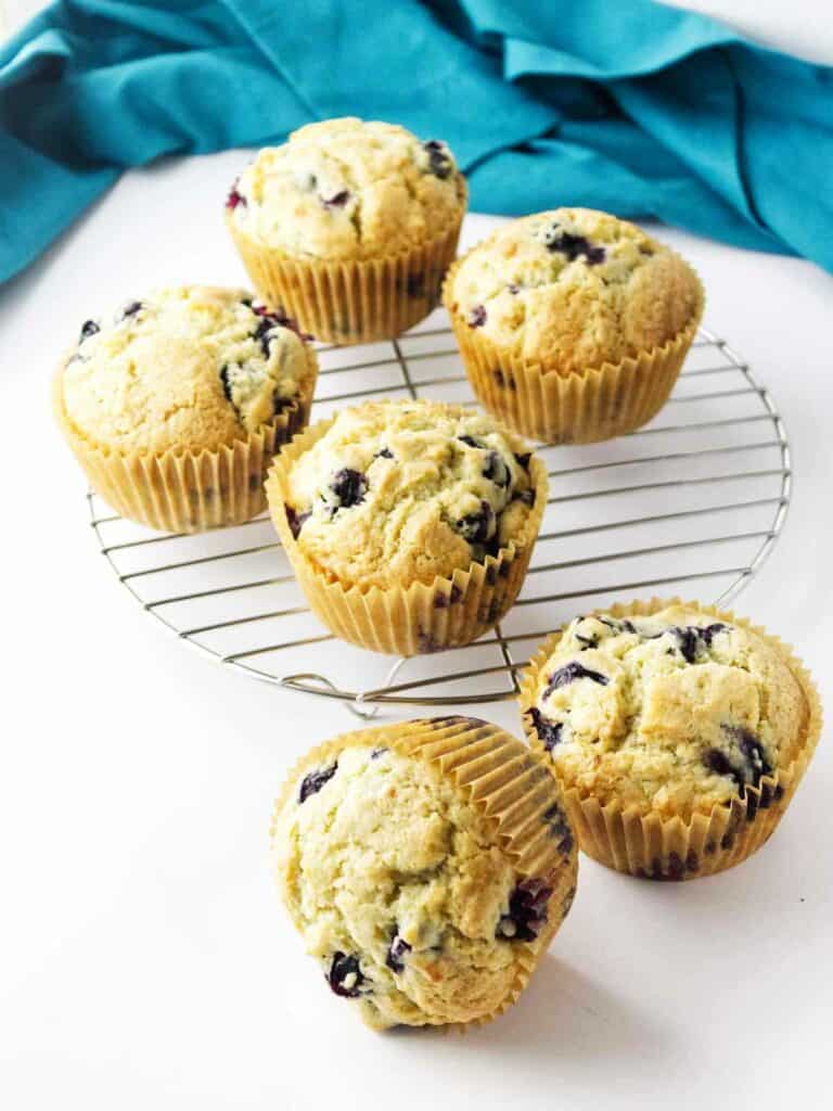 Jumbo Blueberry Muffins I Knead Bread