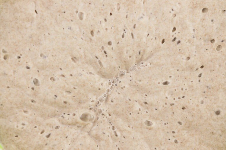 What Is A Levain? – I Knead Bread