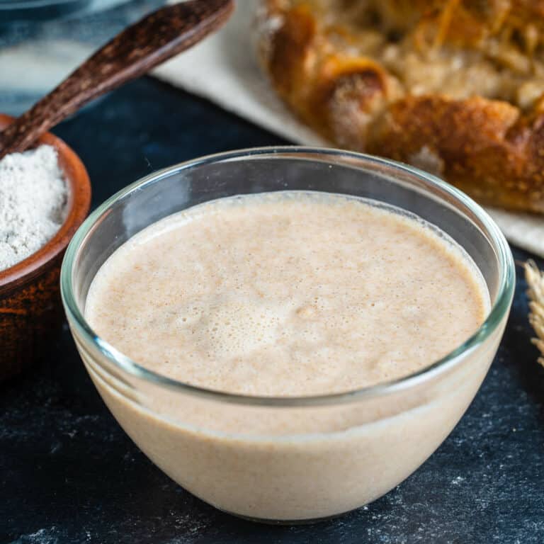 What Is A Levain? – I Knead Bread