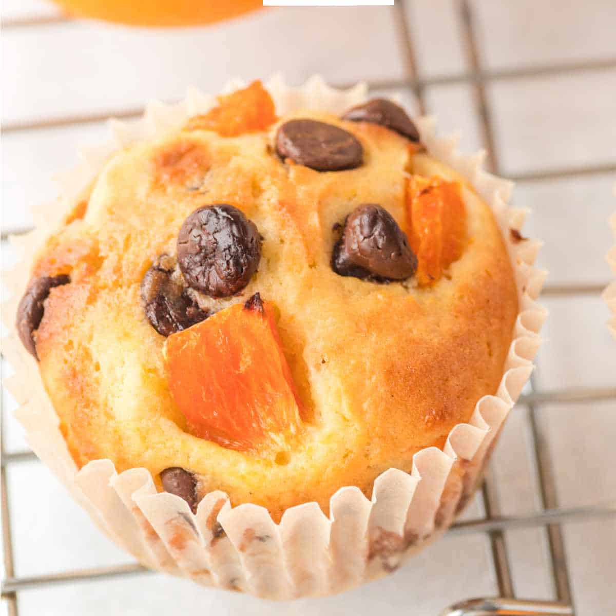 Easy Chocolate Chip Orange Muffins – I Knead Bread