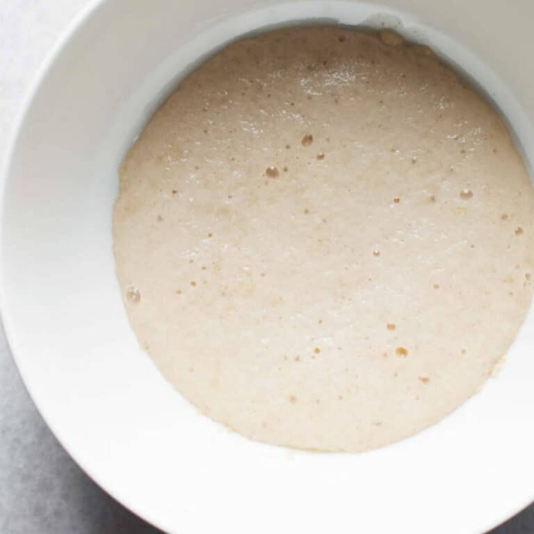 What Is A Sponge? – I Knead Bread