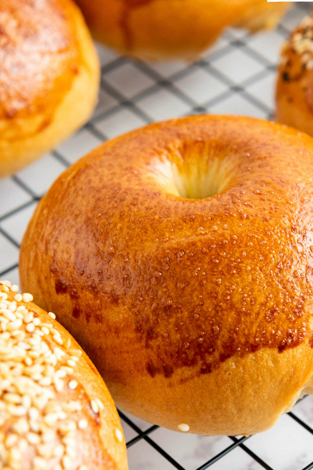 Plain Egg Bagels – I Knead Bread