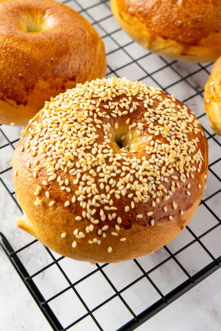 Deli Style Sesame Bagels – I Knead Bread